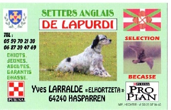 Accueil - Elevage YVES LARRALDE - eleveur de chiens Setter anglais